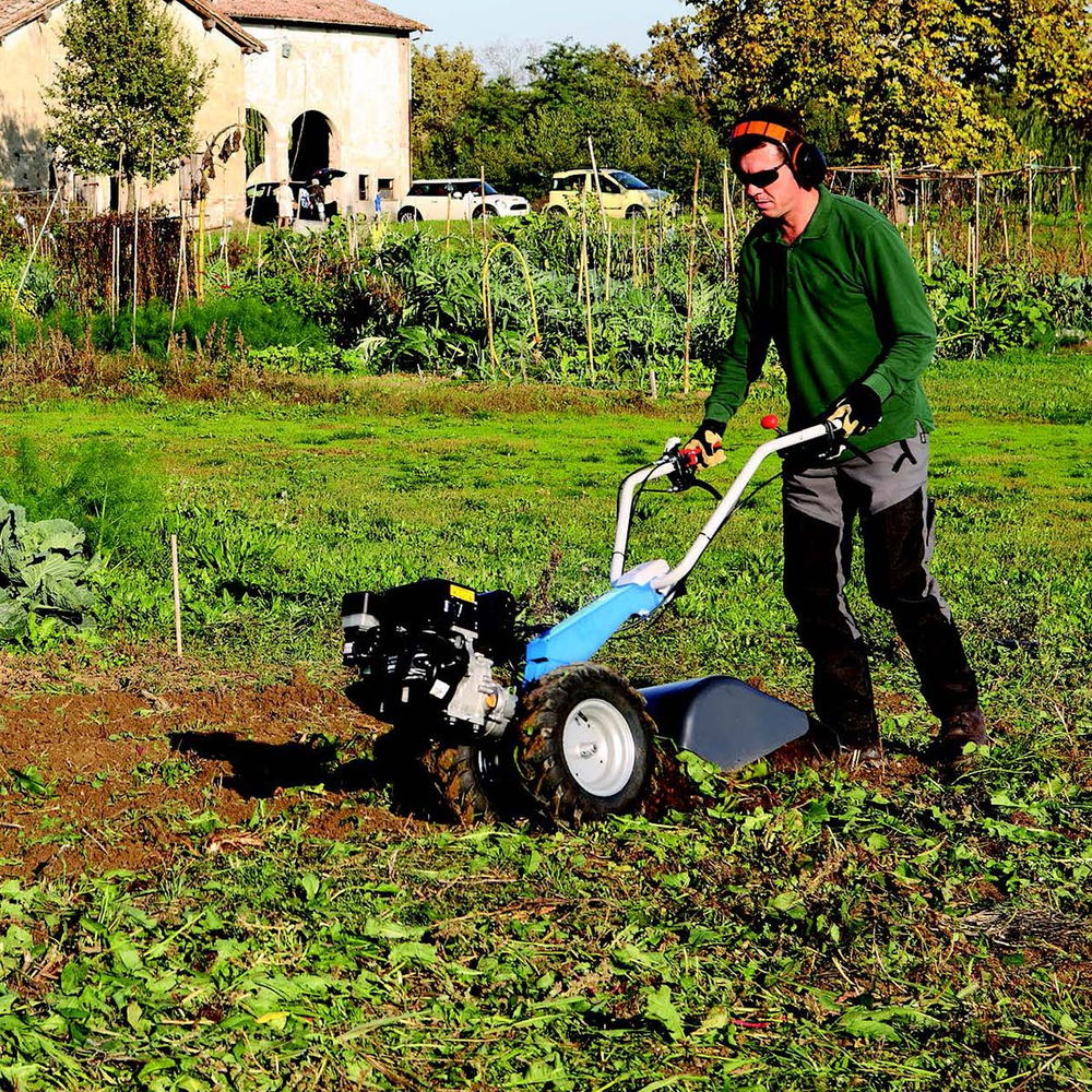 Collections – Bertolini - JBW Agrotech Inc