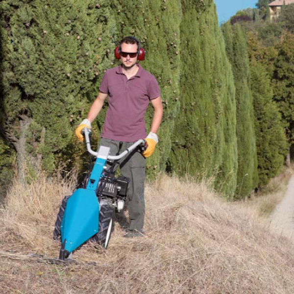 Two-Wheel Tractors – Bertolini - JBW Agrotech Inc