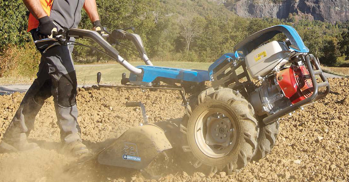 Collections – Bertolini - JBW Agrotech Inc